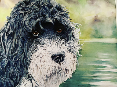 Portuguese Water Dog | art