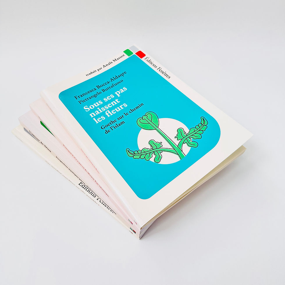 Francesca Bocca-Aldaqre, Goethe et l'islam