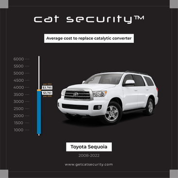 FULL SERVICE - CAT SECURITY | RMC Marketing