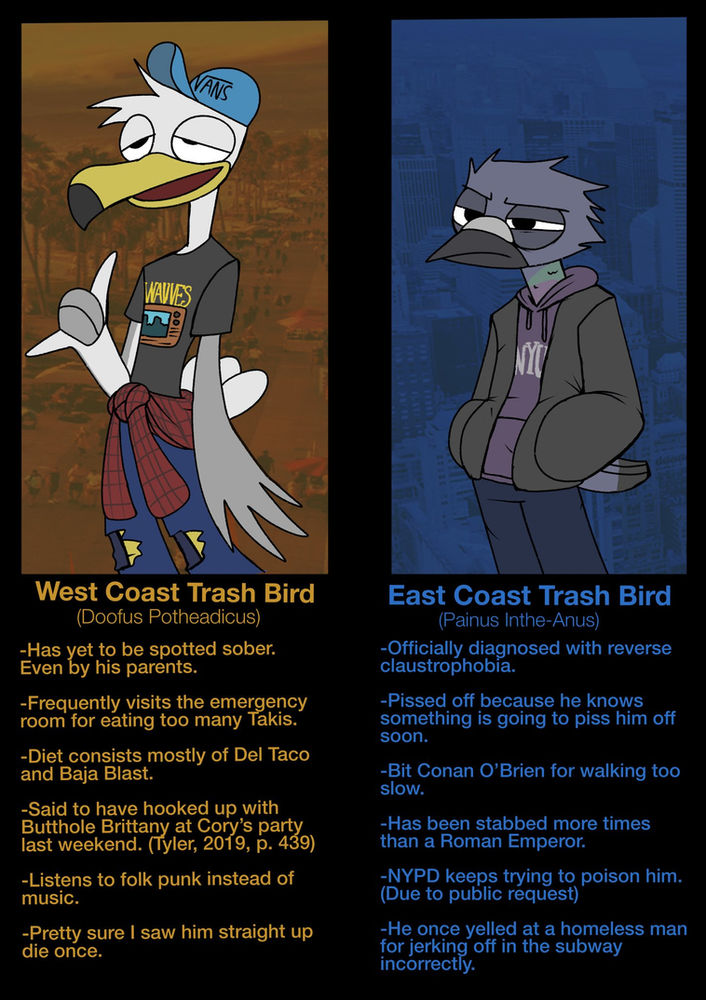 Know Your Trash Birds!