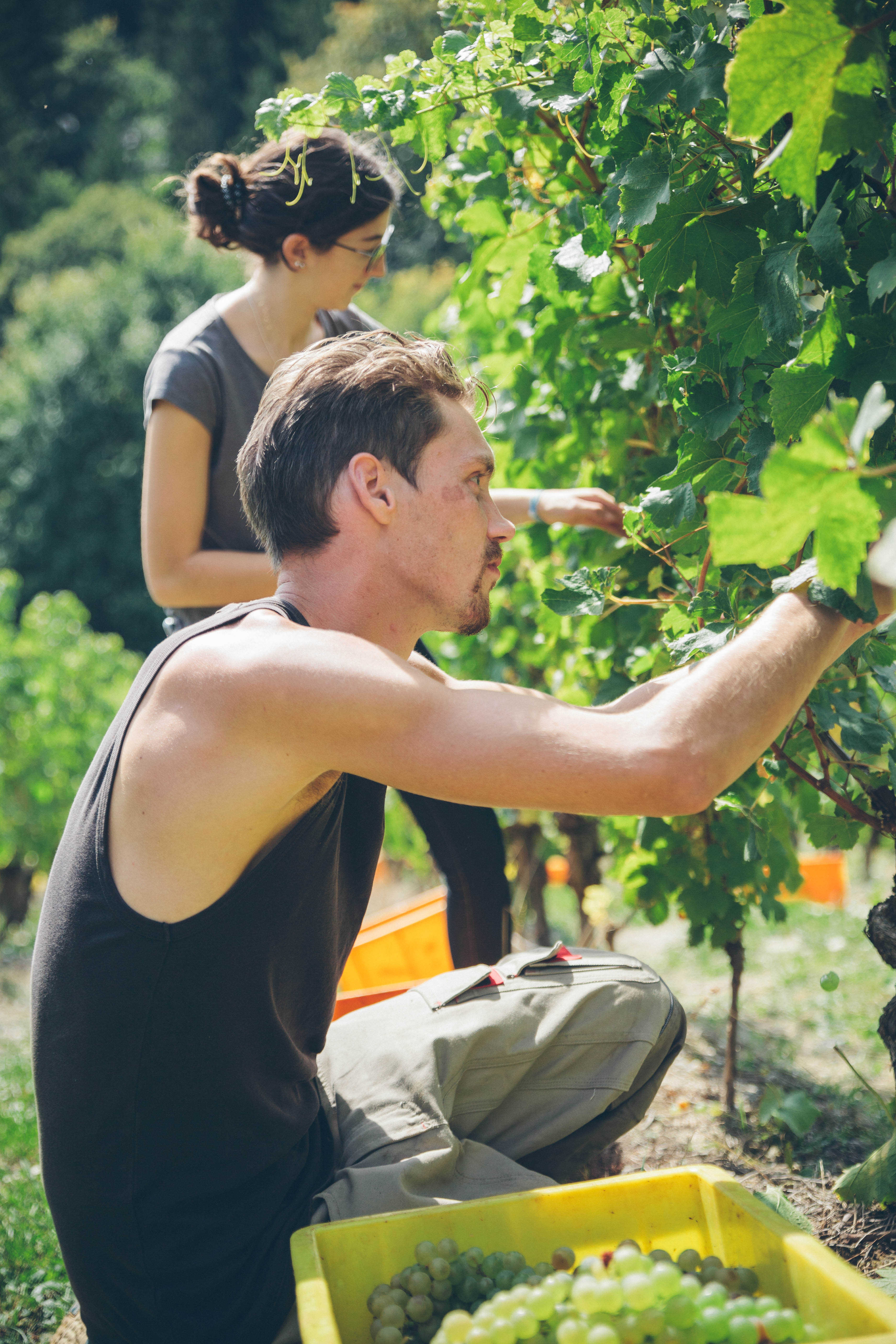 Galerie | domaine vaugues