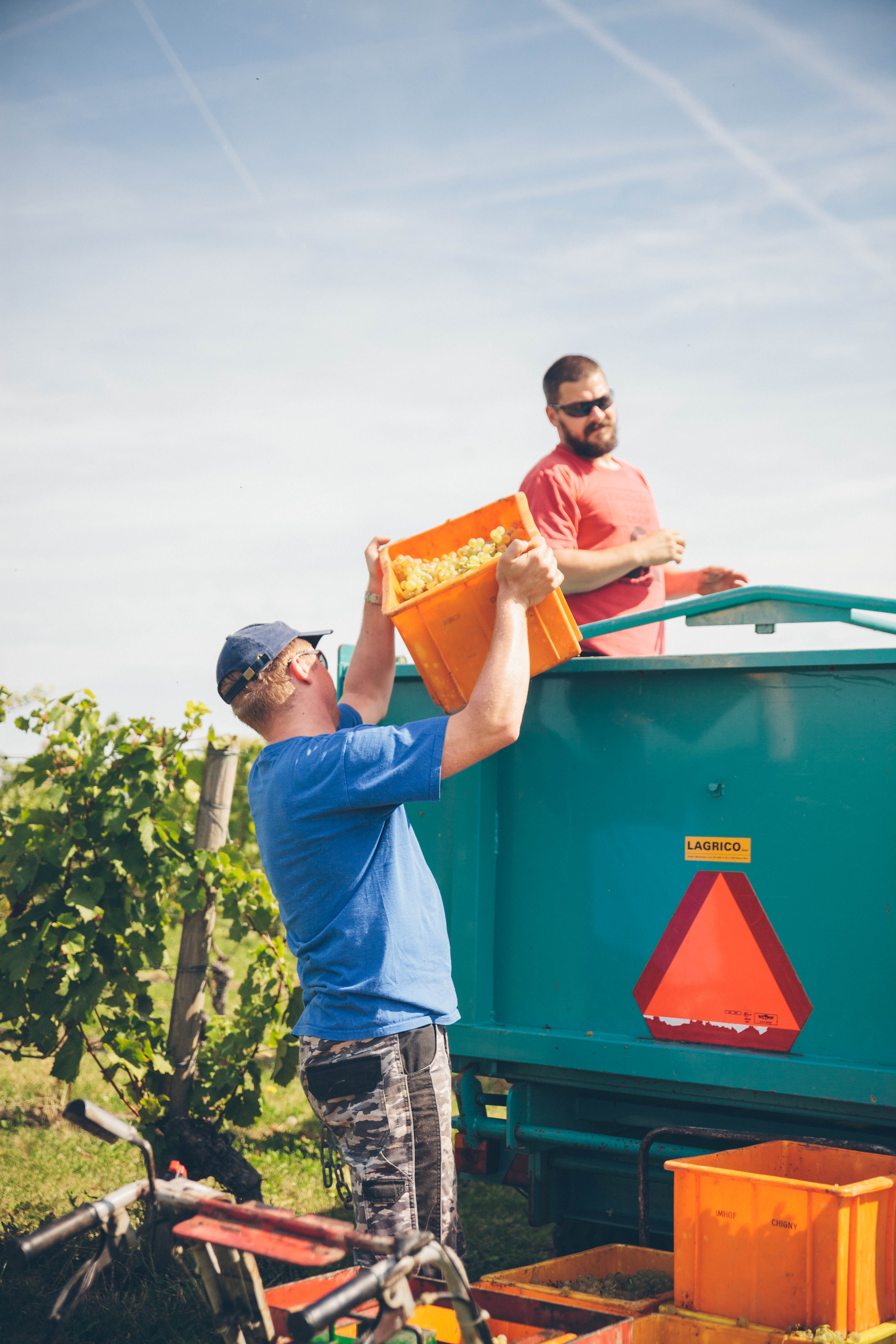 Galerie | domaine vaugues