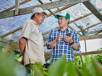 Supply Chain Traceability Solutions | Koltiva