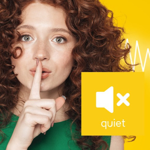 Pluggerz Quiet Custom-Fit | Oor Hoorcentrum