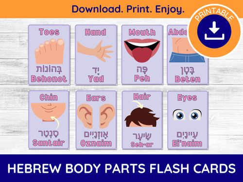 Hebrew Body Parts Flash Cards, Hebrew Flash Cards, Learn Your Body ...