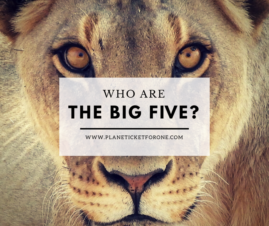 Who Are The Big Five?