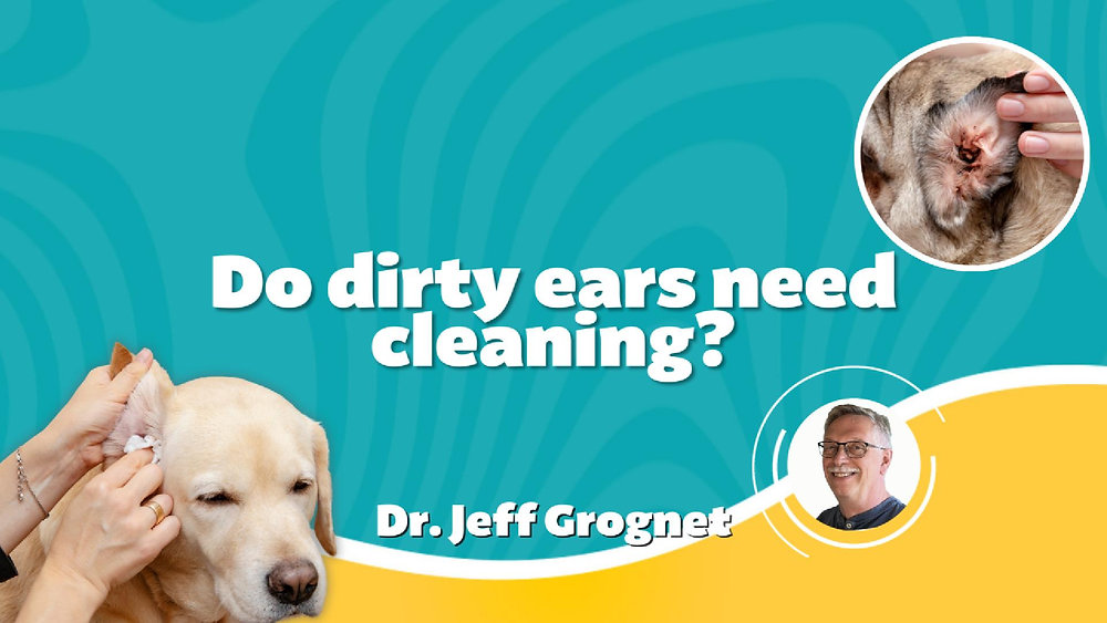 Do dirty ears need cleaning?