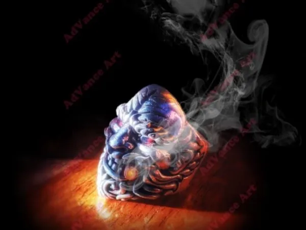 DOBER Society Sales | DOBER