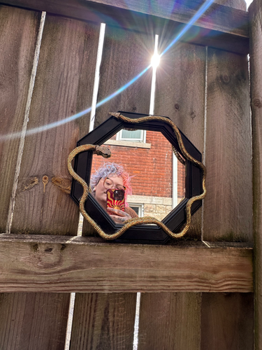 Snake Mirror | The Stoney Cottage