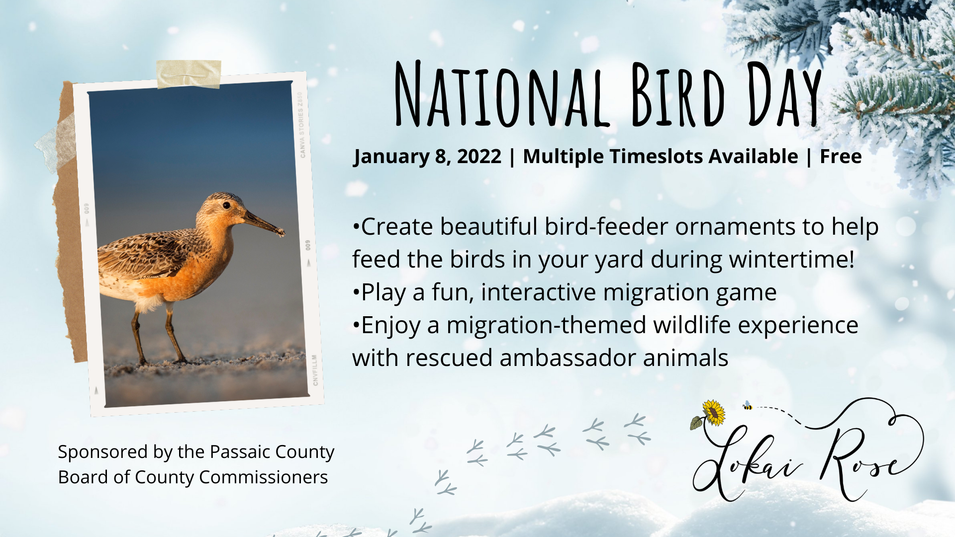 National Bird Day Registration | Lokai Rose