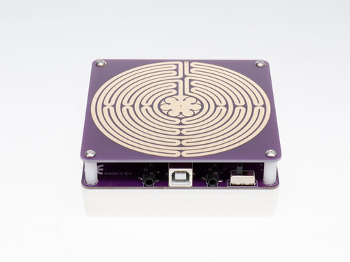 Chartress labyrinth coil module with amplifier | Aplicum radionics healing