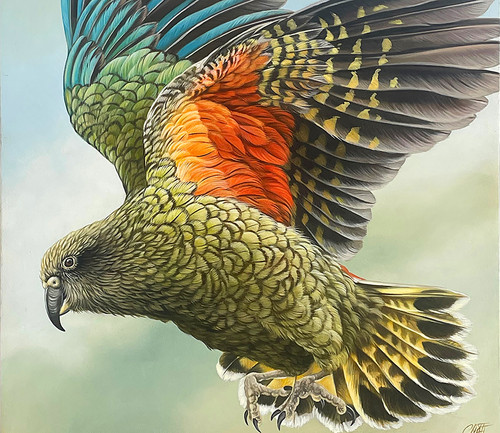 2024 Exhibition | Craig Platt