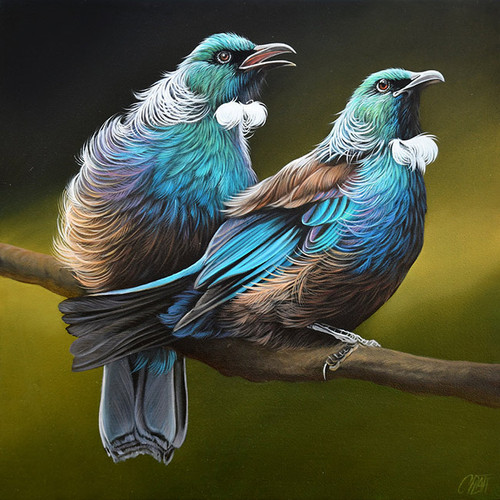 2 Tūī portrait | Craig Platt, Tui Painting