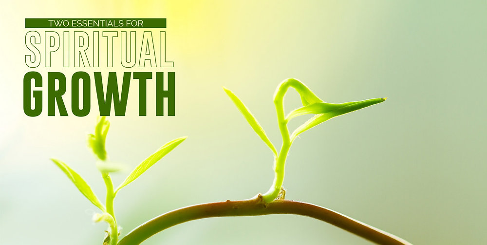 Two Essentials for Spiritual Growth