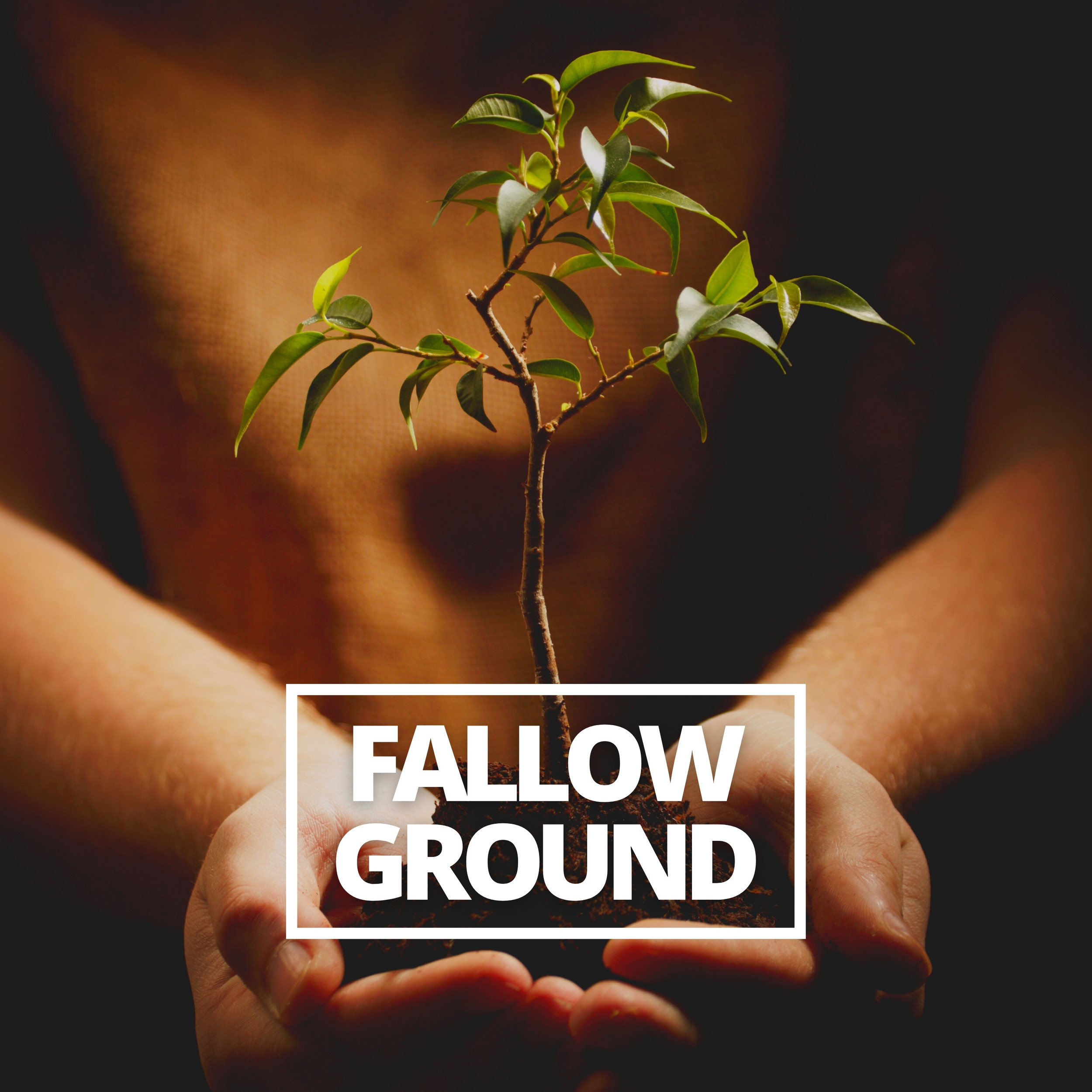 Fallow Ground