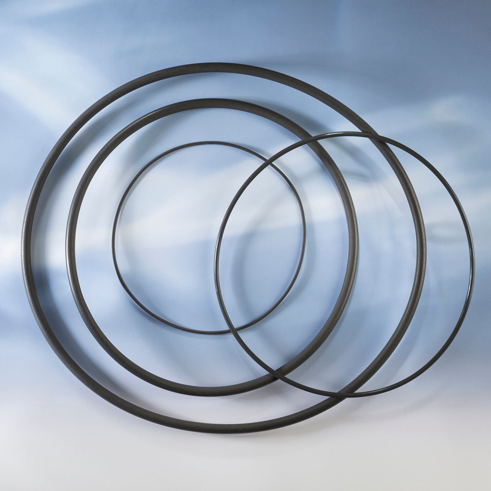 Chemraz® 526 | Guarnizioni, Chemraz® | Cristiani Bisconti