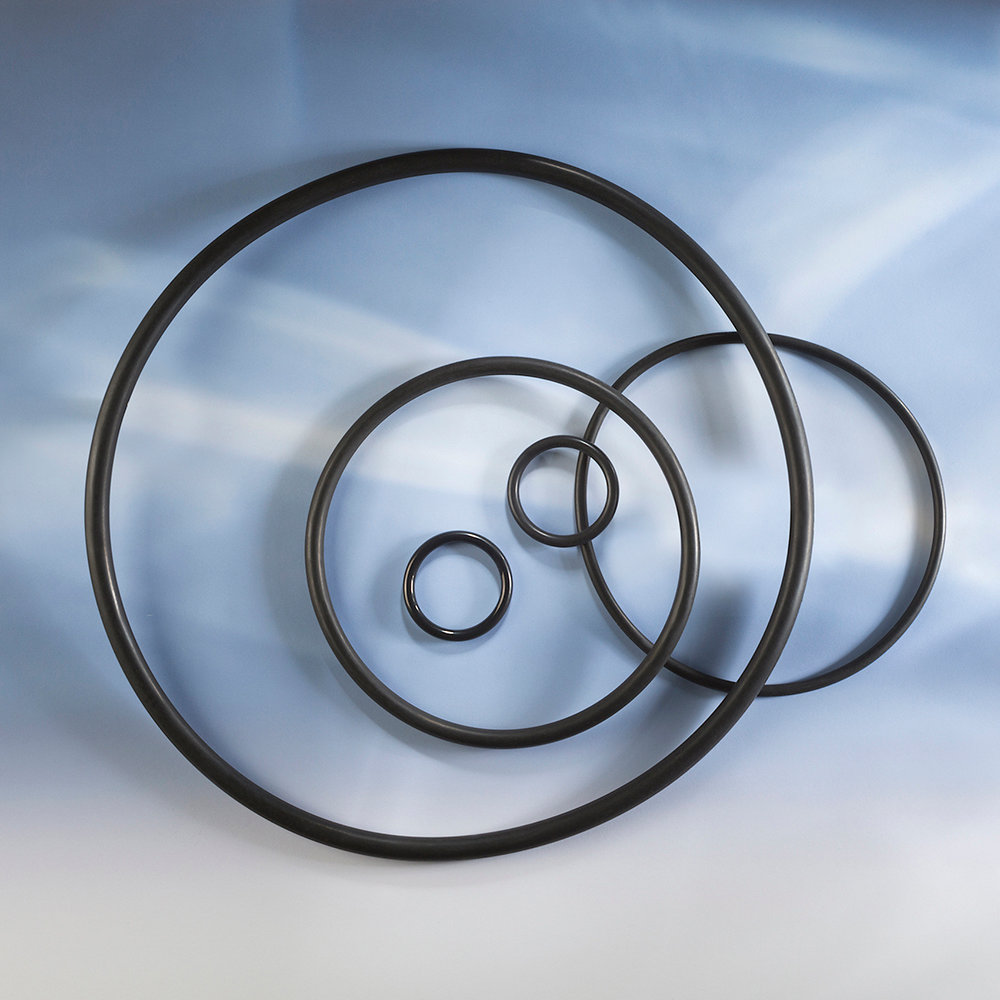 Chemraz® 600 | Gaskets, Chemraz® | Cristiani Bisconti