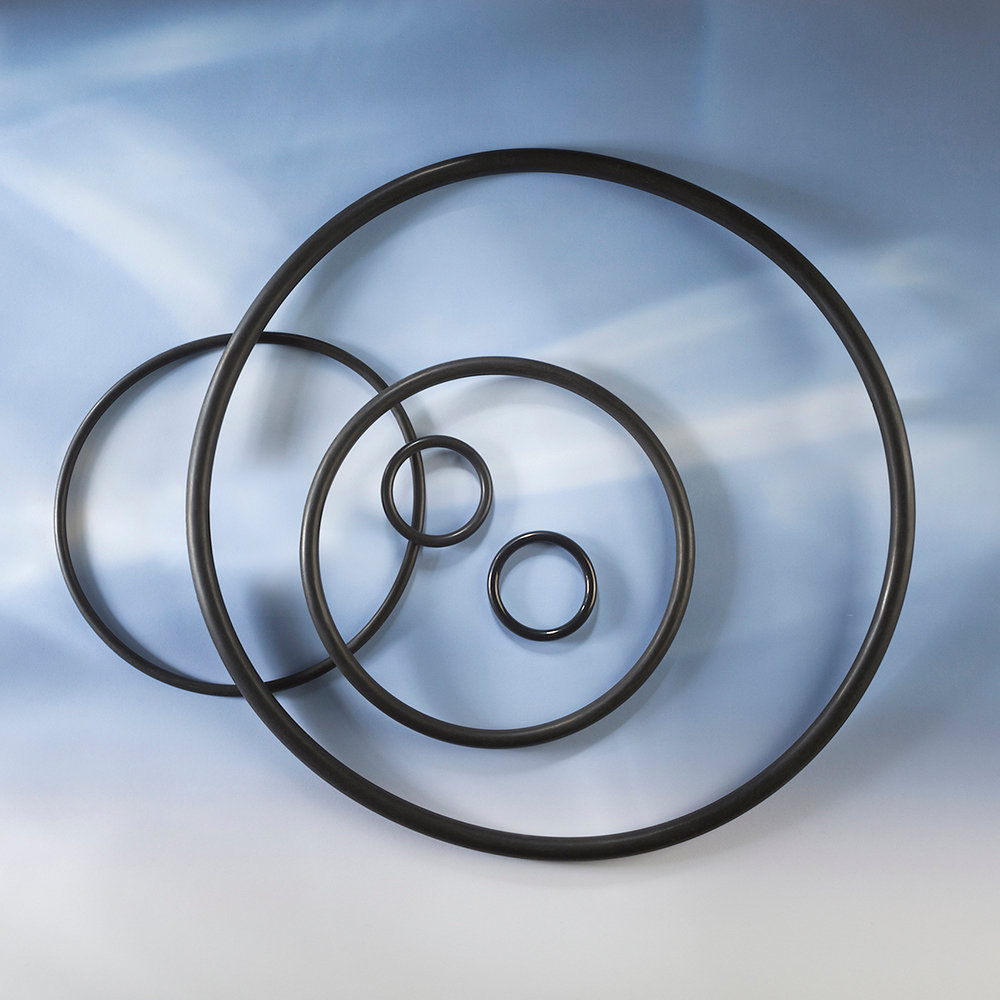 Chemraz® 505 | Guarnizioni, Chemraz® | Cristiani Bisconti