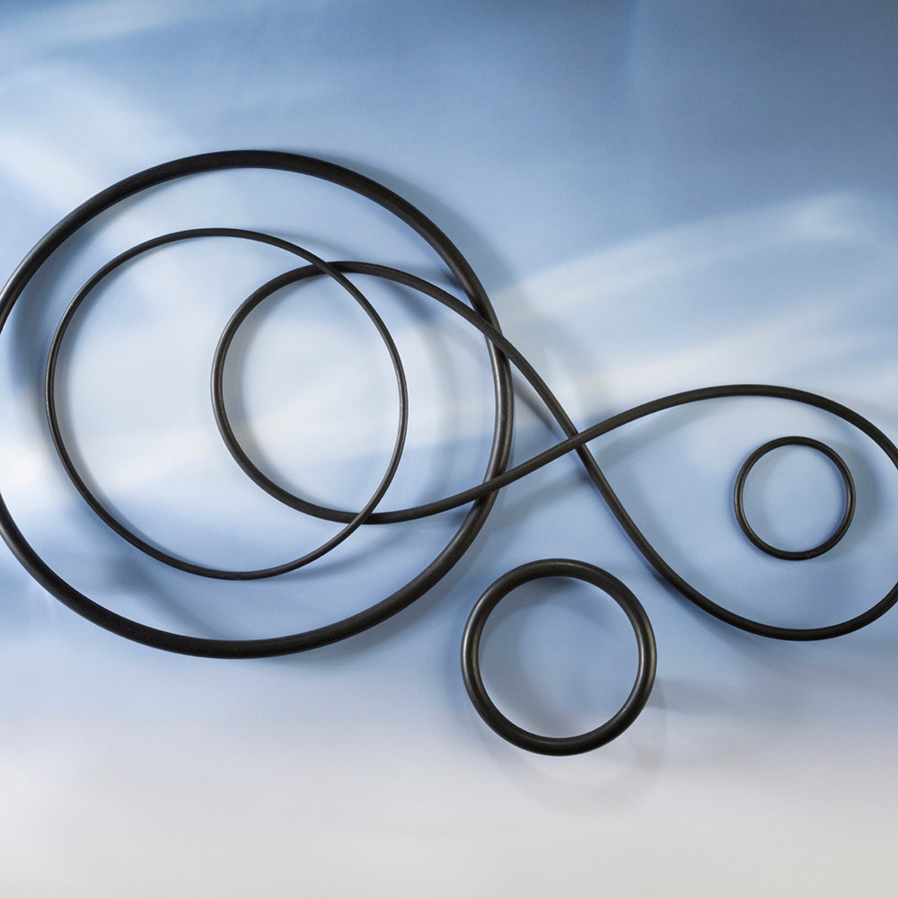 Chemraz® 555 | Guarnizioni, Chemraz® | Cristiani Bisconti