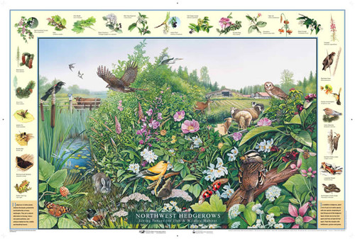 NW Hedgerows poster | goodnaturepublishing