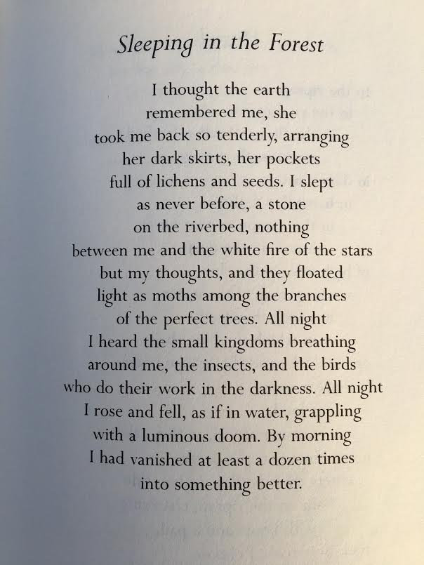 Mary Oliver Sleeping In The Forest, Wendell Berry on dying