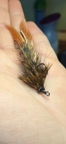 Changer Craw | My Site