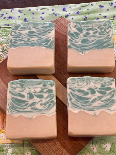 Lemongrass | Donna Bee Good Farms