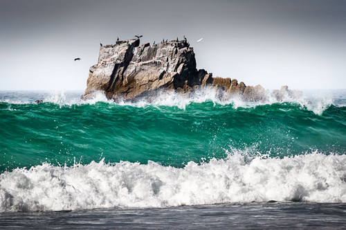 Seabird Stack at Mangersta - Isle of Lewis | darrencolephoto