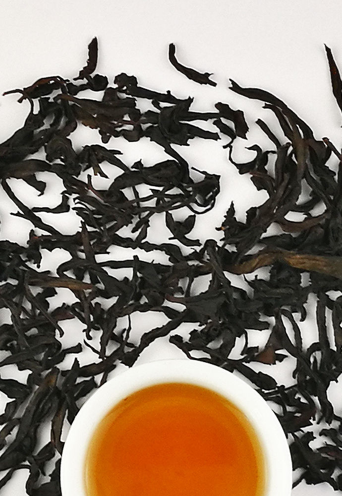 Blog 112: The Charm of Old Shui Xian Tea Plants