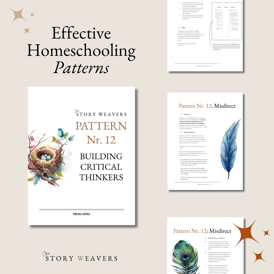 Pattern 12: Building Critical Thinkers Workbook