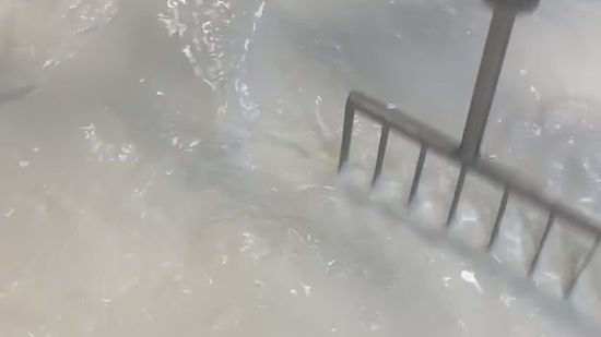 Grade A Milk | Farm Life Creamery, LLC | Ethan