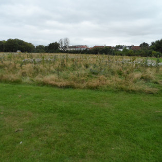 Goodmayes Park | Redbridge 18 Plus