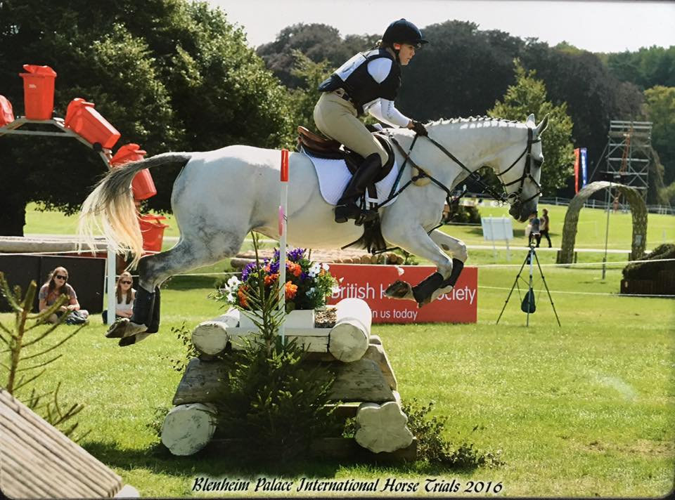 arena simulated XC with Petros | shillingtonriding
