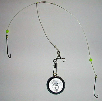 Flounder Pounder Rig | SeaWolfe Tackle