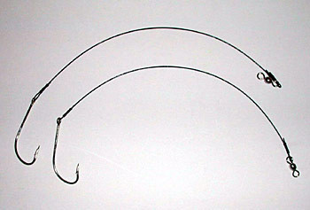 Bluefish Rigs | SeaWolfe Tackle