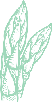 Team | Altar Produce