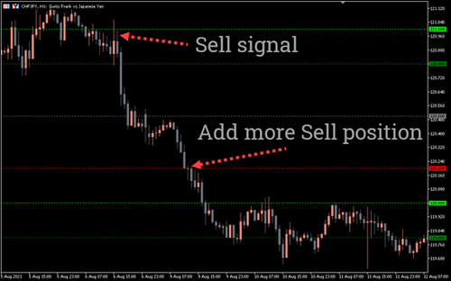 Key Levels Indicator | DC Trading