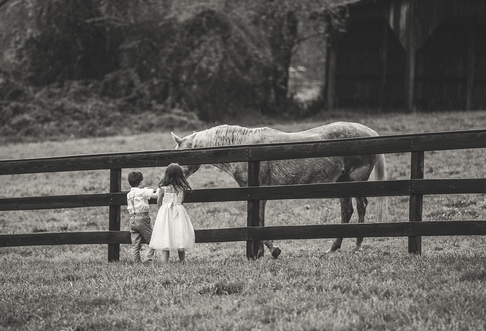 THE FARM- A GATHERING PLACE | JCM Photography