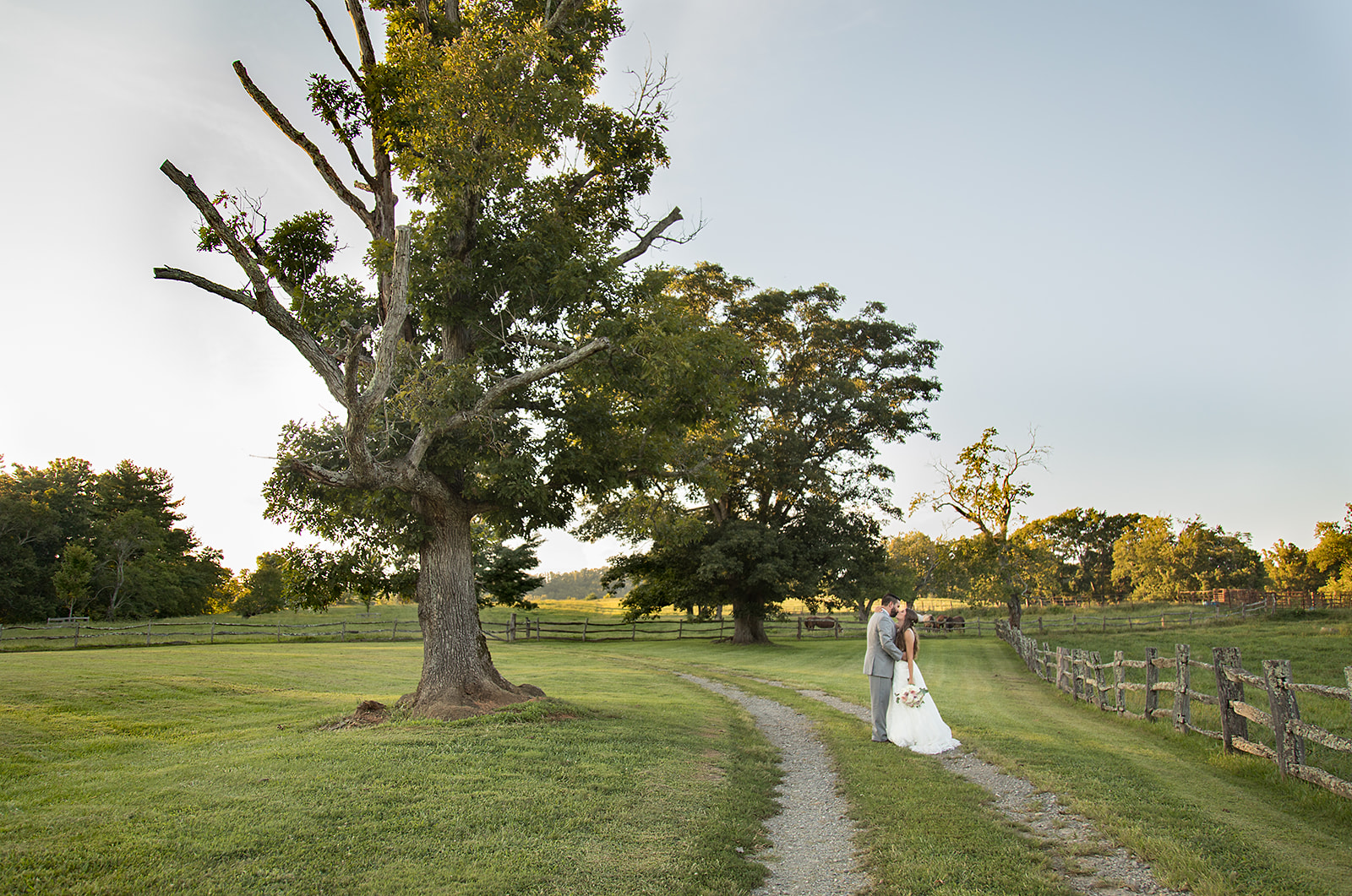 TAYLOR RANCH | JCM Photography