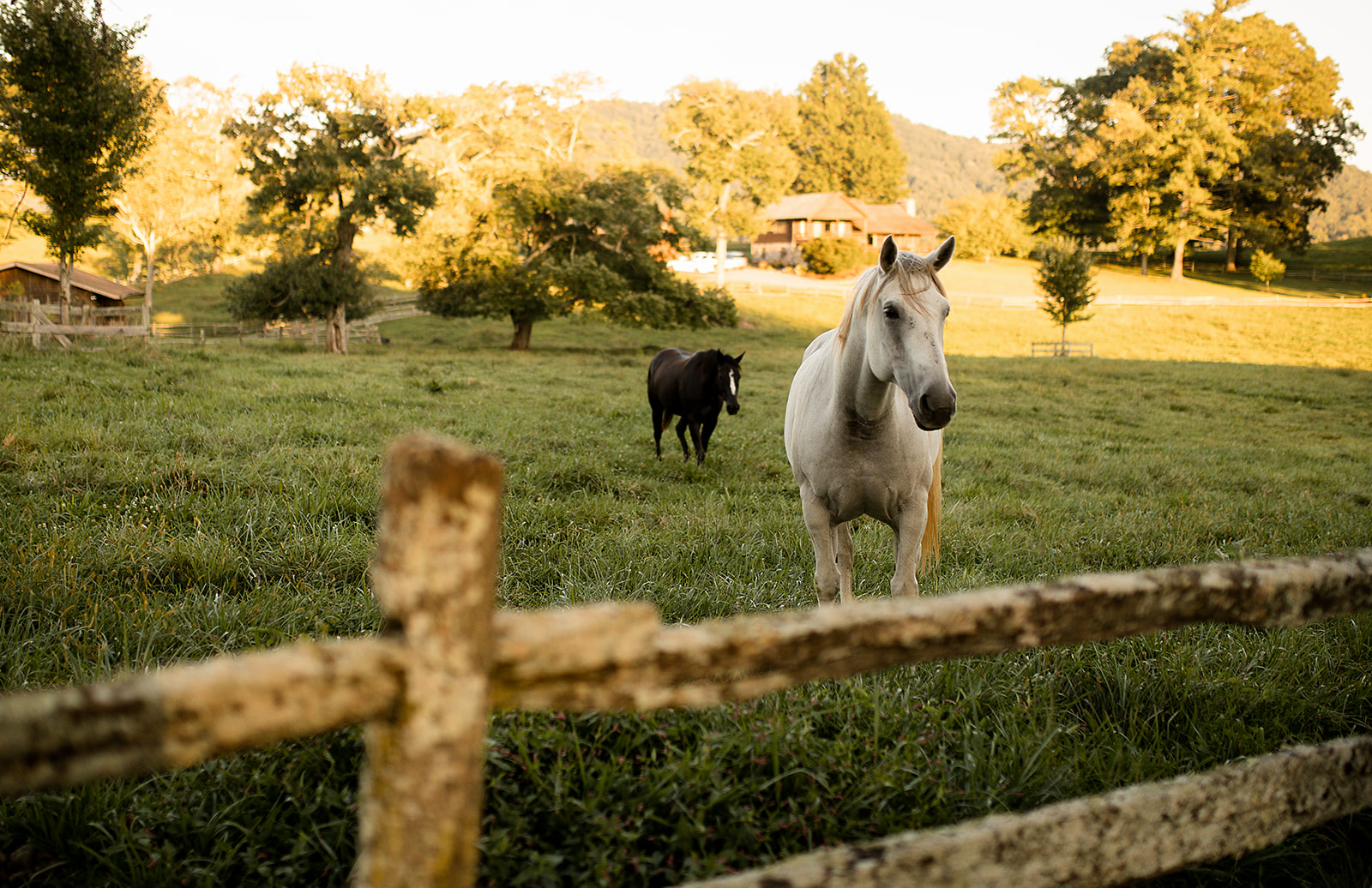 TAYLOR RANCH | JCM Photography
