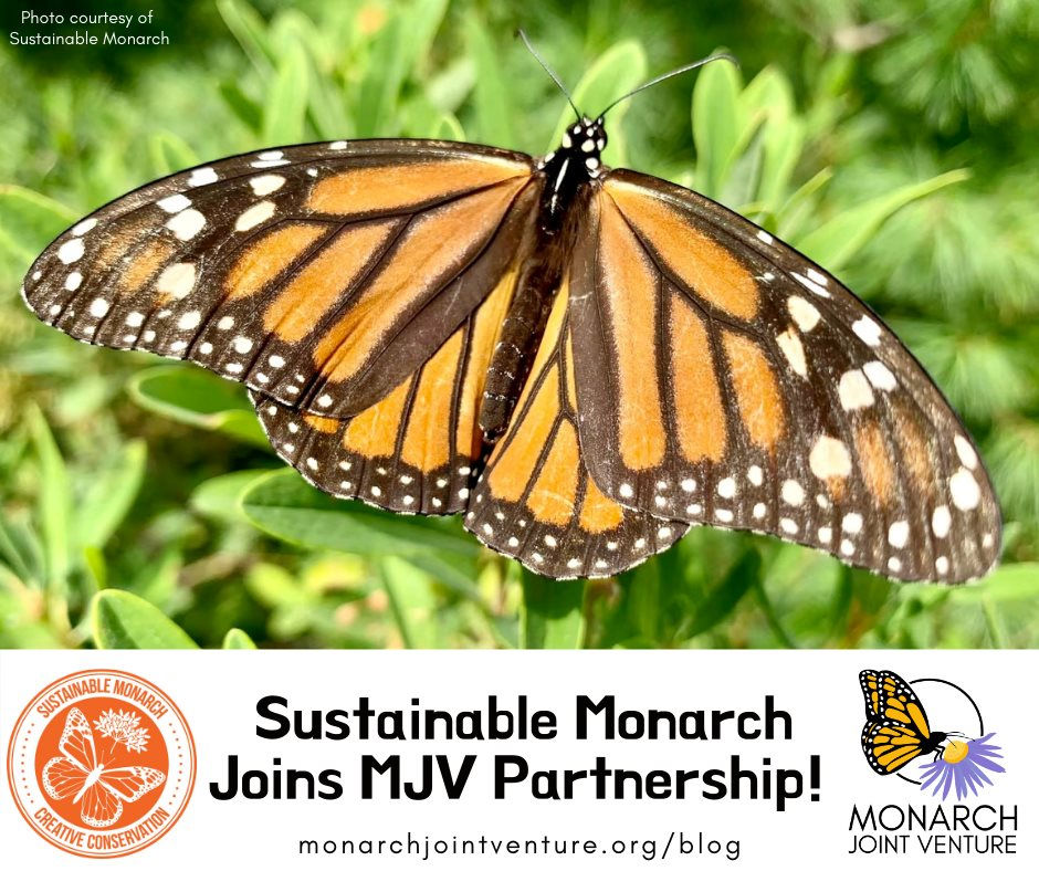 Sustainable Monarch Joins the Monarch Joint Venture