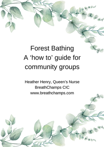 Forest Bathing How To Guide | BreathChamps