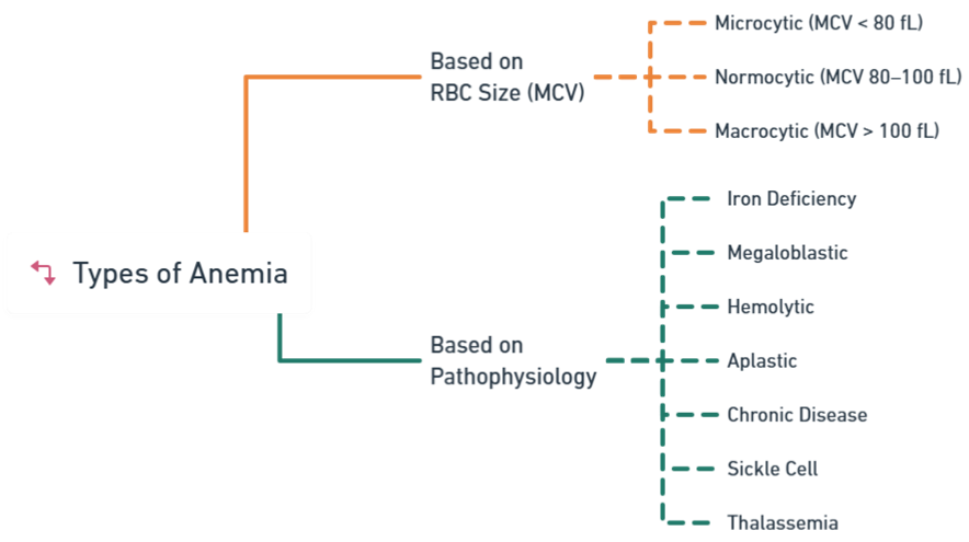 Anemia | Definition | Types of Anemia | Causes | Symptoms | Diagnosis