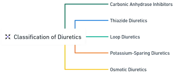 Diuretics: Overview and Classification | Firsthope