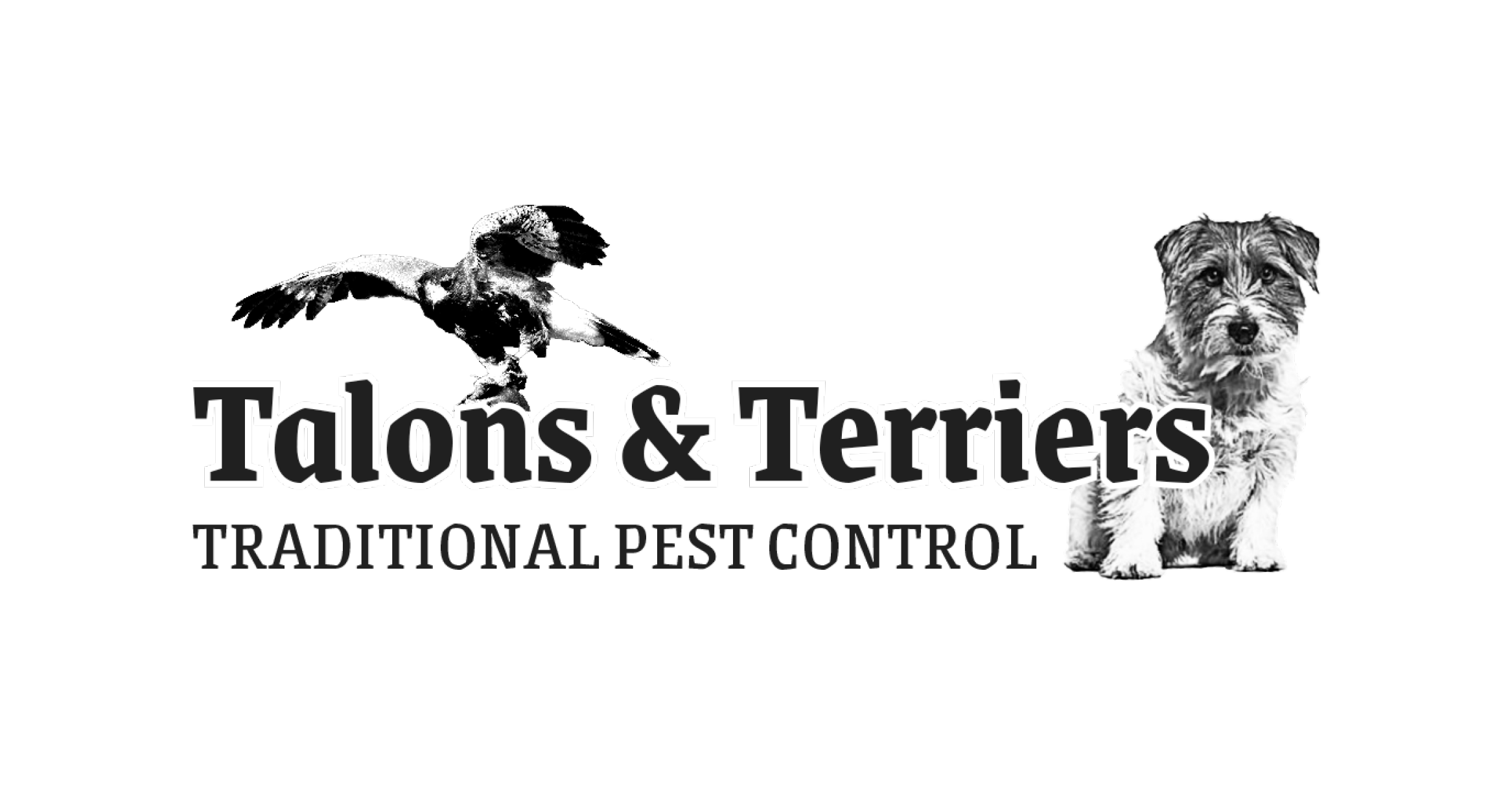 Services | Talons & Terriers | Pest Control Service Andover