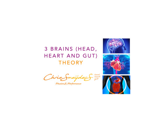 The 3 Brains -Head, Heart and Gut- Theory | Pealacademy
