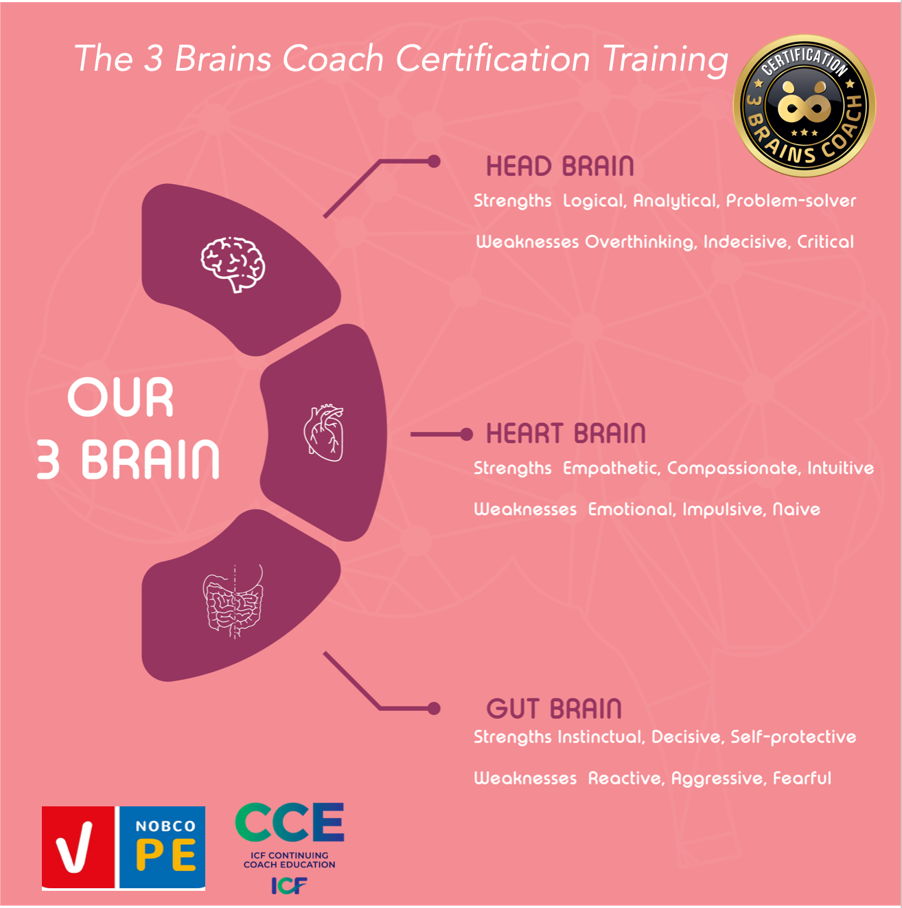 3 Brains Coach Certification ICF for 40 CCEUs accredited | 3 Brains Academy
