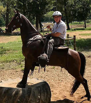 Ripley's Speed Racking Horse Farm | Speed Racking Horses | 3795 West ...