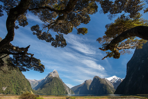 The Sound | Adam Crews Imagery