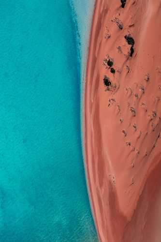 Halves | Adam Crews Imagery